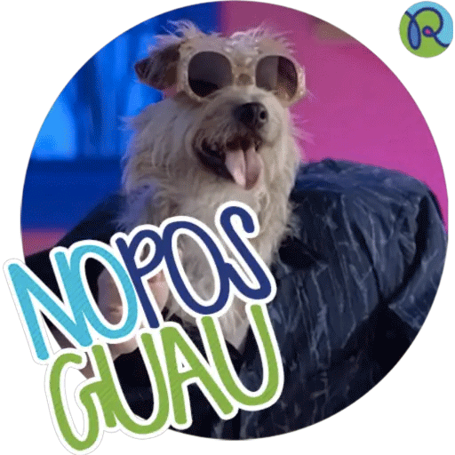 Guau Wow Sticker by Reservamos for iOS & Android | GIPHY