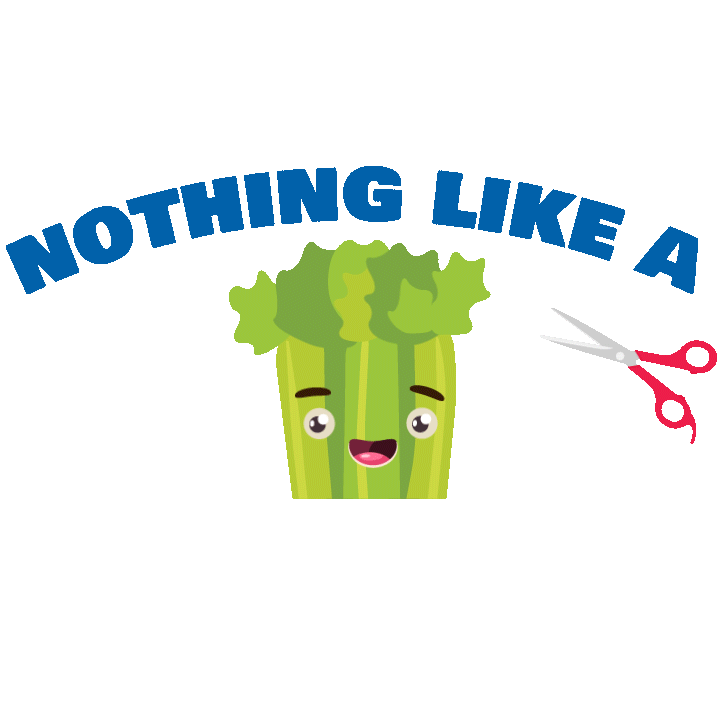 Duda Fresh Sticker for iOS & Android | GIPHY