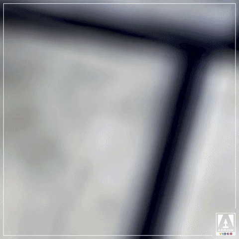 Movie Monster GIFs - Get the best GIF on GIPHY