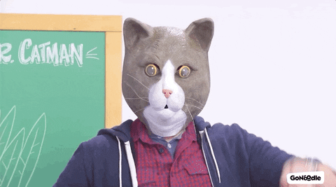 Mr Catman GIFs - Get the best GIF on GIPHY
