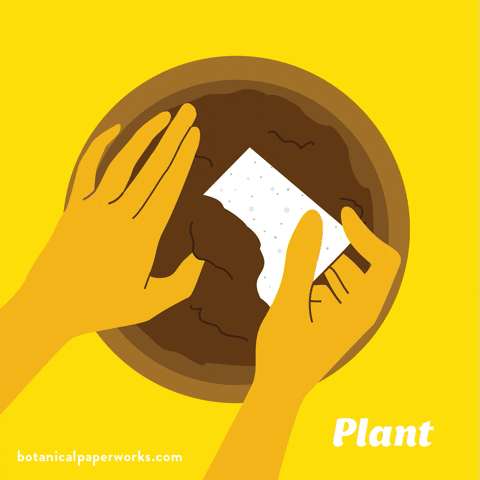 Botanical PaperWorks GIFs on GIPHY - Be Animated