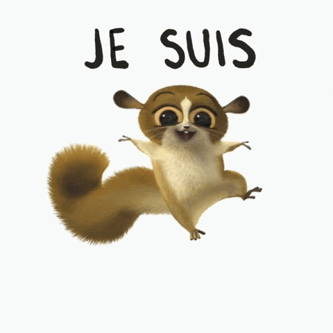 Je Suis GIFs - Get the best GIF on GIPHY