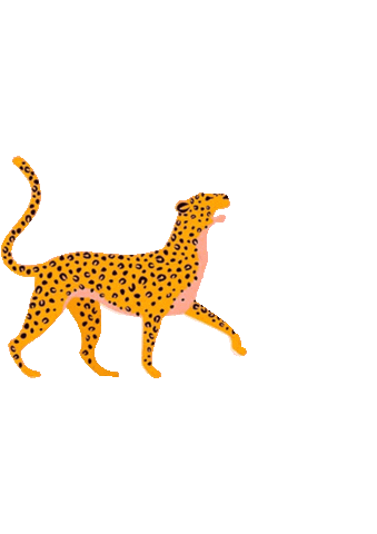 Cheetah Running Gif