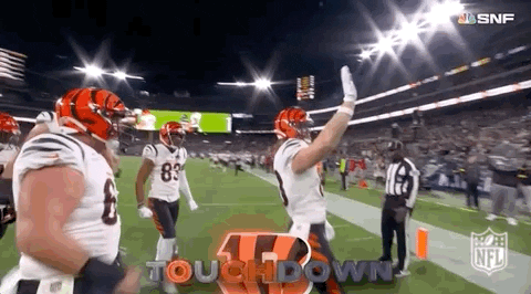 Lets-go-bengals GIFs - Get the best GIF on GIPHY