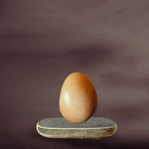 Chicken-v-egg GIFs - Get the best GIF on GIPHY