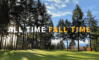 Crown Isle GIFs on GIPHY - Be Animated