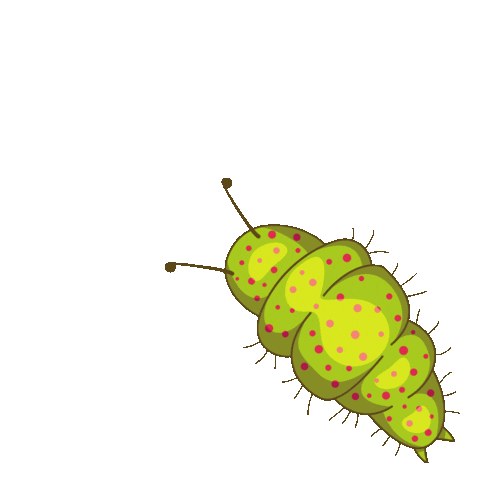 entomologando GIFs on GIPHY - Be Animated