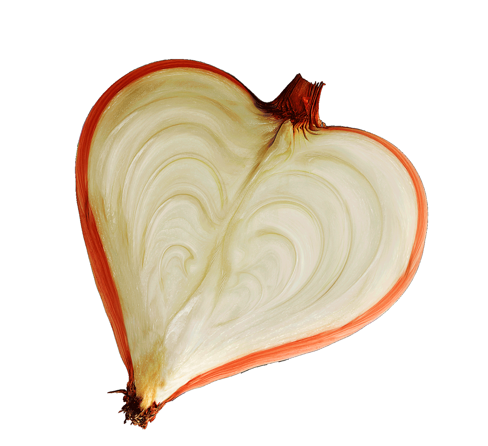 Popcebolla Sticker by Los Vasquez for iOS & Android | GIPHY