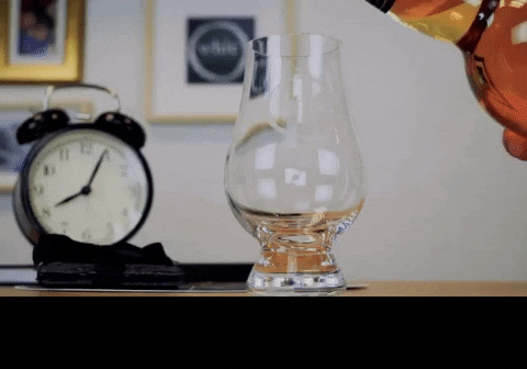 whic GIF - Find & Share on GIPHY