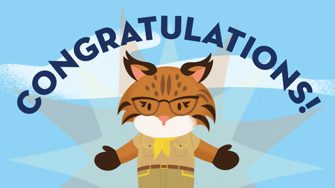 Way To Go Cat GIF by AppExchange - Find & Share on GIPHY