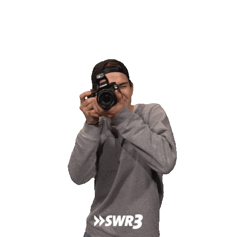 Transparent Gif Sticker Find Share On Giphy