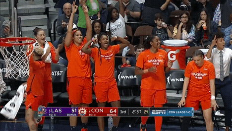 Womens Basketball Sport GIF by WNBA - Find & Share on GIPHY
