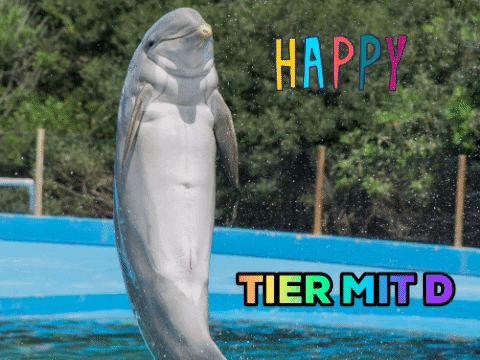 Tier GIFs - Find & Share on GIPHY