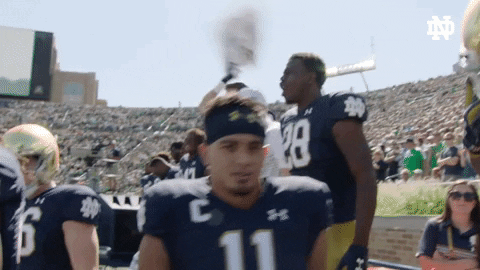 Notre Dame Nd GIF by Notre Dame Fighting Irish - Find & Share on GIPHY