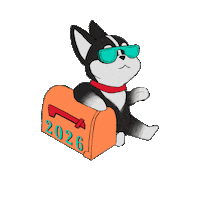 Northeastern University Admissions GIFs on GIPHY - Be Animated