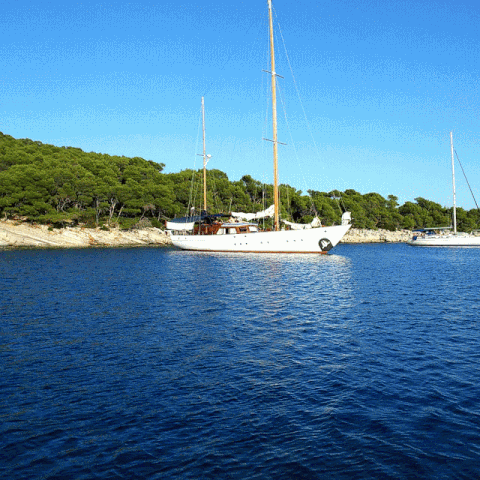 306 | GIF | PrimoGIF