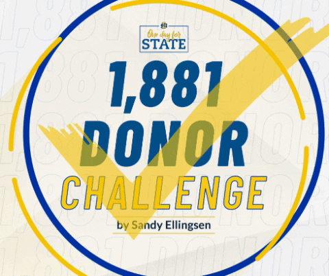 14-days-challenge GIFs - Get the best GIF on GIPHY