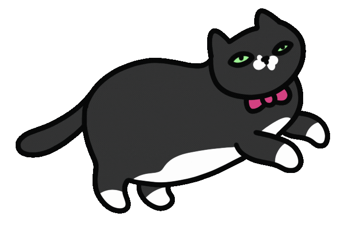 Dancing Cat Gif Transparent