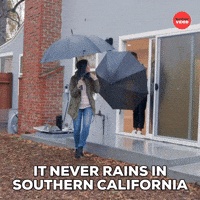 Southerners GIFs - Get the best GIF on GIPHY