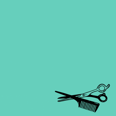 Ca GIFs - Get the best GIF on GIPHY