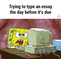 Spongebob Essay GIFs - Find & Share on GIPHY