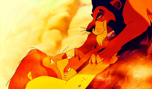 Lion-killed GIFs - Get the best GIF on GIPHY