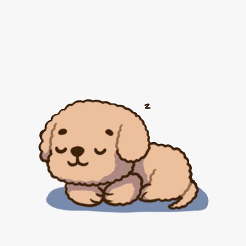 Perrito GIFs - Get the best GIF on GIPHY