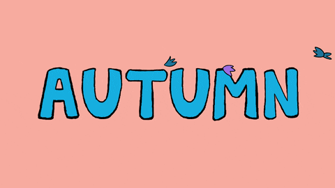 Autumn Is Here GIFs - Get the best GIF on GIPHY