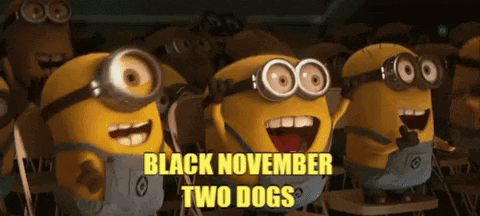 Two Dogs GIFs - Find & Share on GIPHY