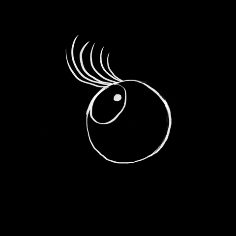 Eyelash GIFs - Get the best GIF on GIPHY