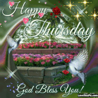 Happy Thursday Tumblr