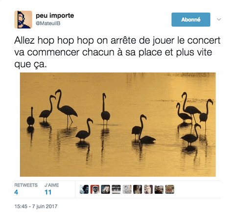 Plus-vite GIFs - Get the best GIF on GIPHY