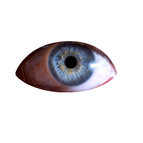 Eye Sticker for iOS & Android | GIPHY