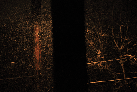 Portland Snow GIFs - Get the best GIF on GIPHY