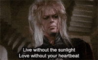 Gif Animado Del Laberinto De David Bowie David Bowie Labyrinth Gif