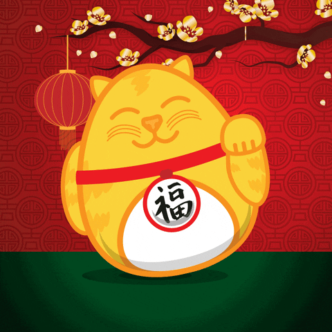 Lucky Cat GIFs - Get the best GIF on GIPHY