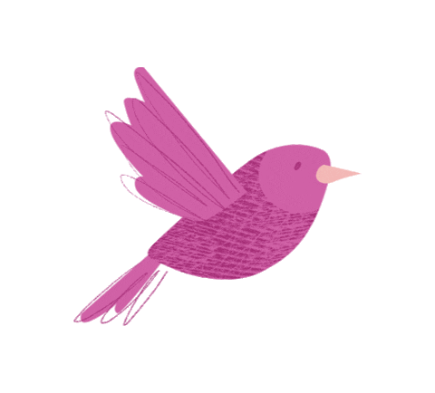 Transparent Bird Gif