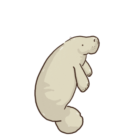 Cute Manatee Gif