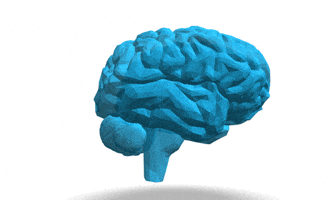 Acquired Brain Injury GIFs - Find & Share on GIPHY