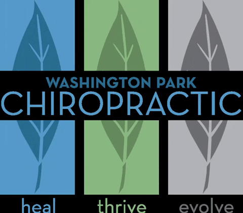 Chiropractic GIF by Wash Park chiro - Find & Share on GIPHY