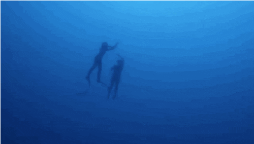 Tech-brain GIFs - Get the best GIF on GIPHY