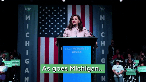 Team Vote GIF by Gretchen Whitmer - Find & Share on GIPHY