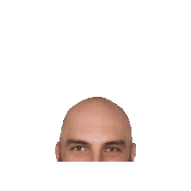 FP faces GIFs on GIPHY - Be Animated