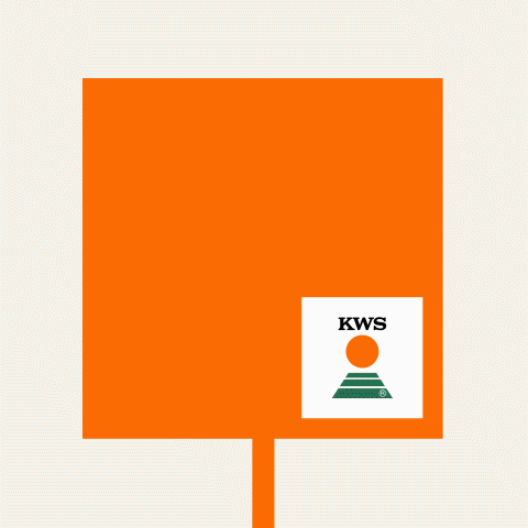 Kws GIFs - Get the best GIF on GIPHY