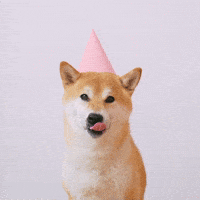 Happy Dog GIFs - Find & Share on GIPHY