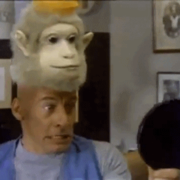 Monkey Hat GIFs - Get the best GIF on GIPHY