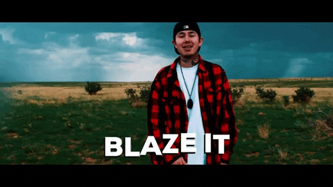 Get Blazed GIFs - Get the best GIF on GIPHY