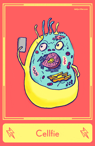 Cell Theory GIFs - Get the best GIF on GIPHY