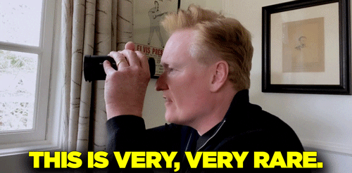 Very Rare GIFs - Get the best GIF on GIPHY