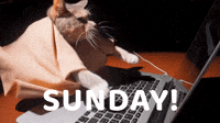 Cat-work GIFs - Get the best GIF on GIPHY